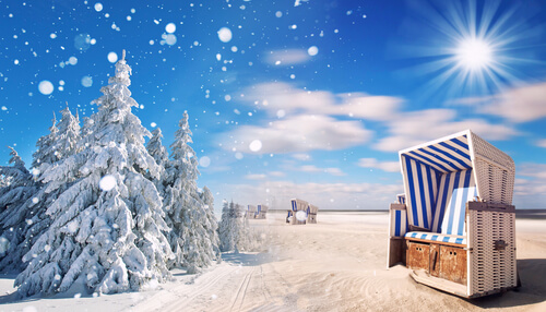 Cool Tips for an Epic Summer Snow Party | Mr. Cool Snow Parties
